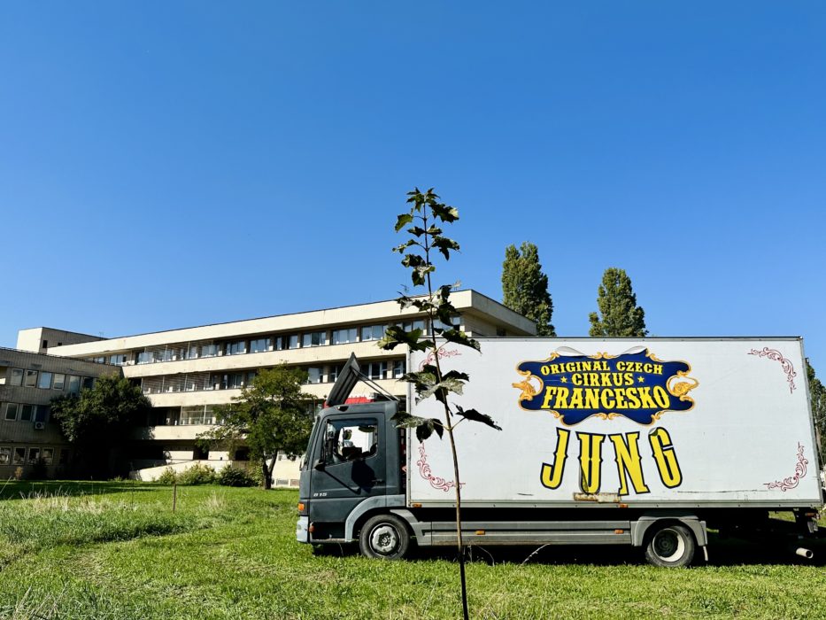 V nemocnici vznikol hotový cirkus! | eReport Trnava